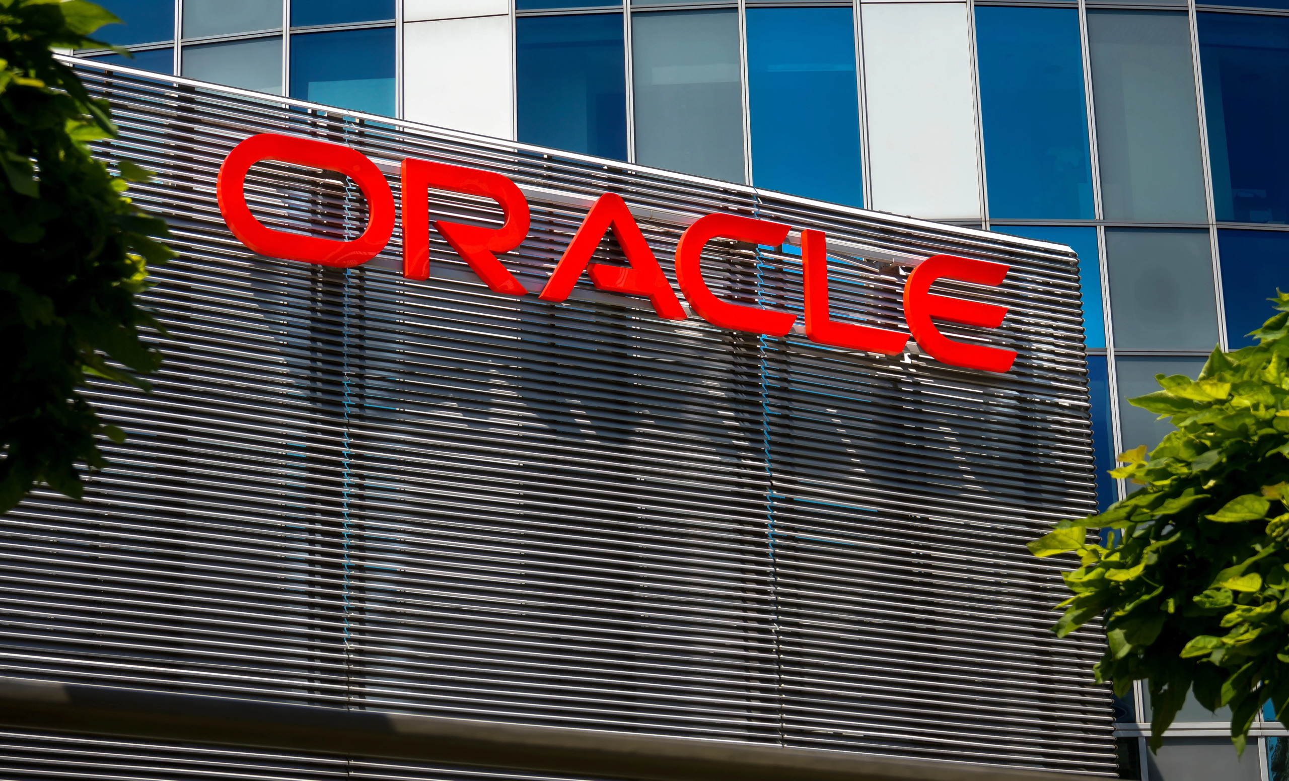 Oracle (ORCL34) dispara, derruba Musk e faz novo bilionário número 1 do ...